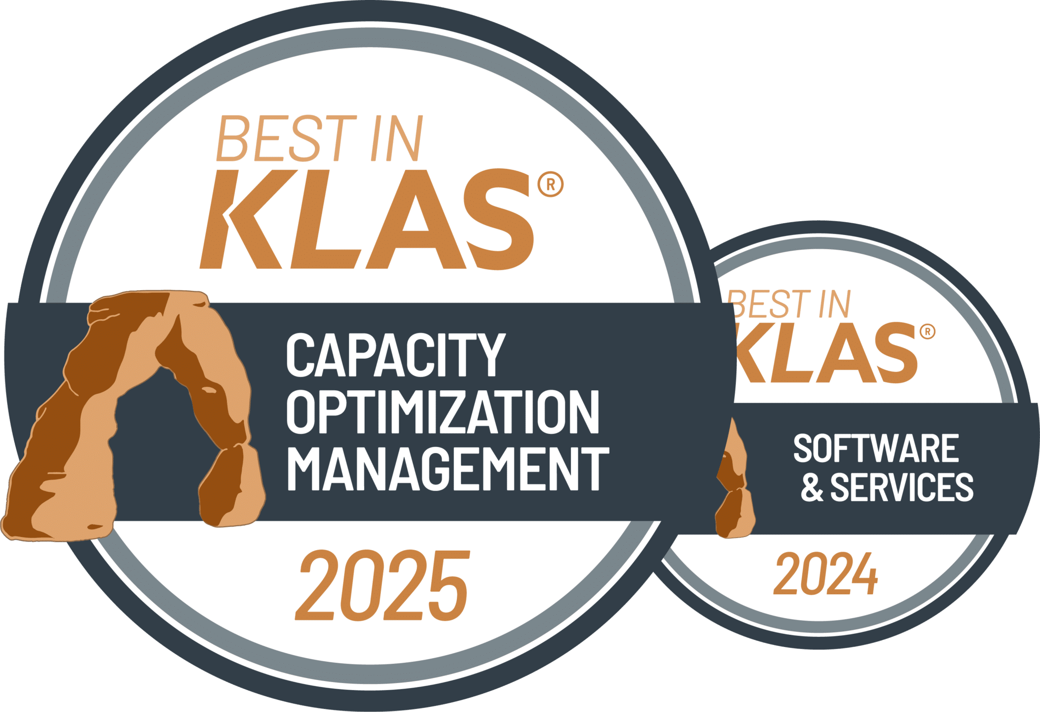 LeanTaaS: AI-Driven Digital Transformation for Healthcare